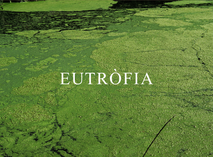 Economia eutròfica | Toni Giró